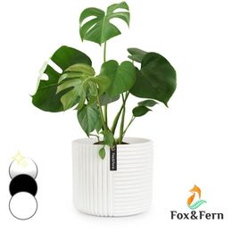 Fox&fern - Blumentopf mit Stopfen, Blumentopf Gross für Innen/Außen, Übertopf uv- & Frostbeständig, Polystone-Blumentöpfe Weiß, Blumentopf 24,5 cm