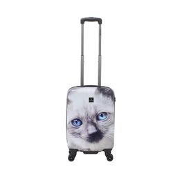 Koffer Saxoline "White Cat" Gr. B/H/T: 35.00 cm x 54.00 cm x 20.00 cm, schwarz-weiß (weiß, schwarz) Koffer Trolleys