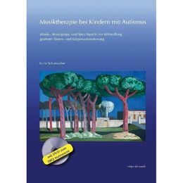 Reichert Musiktherapie bei Kindern mit Autismus, m. DVD-ROM - Karin Schumacher, Kartoniert (TB)