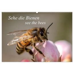 Sehe die Bienen (Wandkalender 2025 DIN A2 quer), Calvendo Monatskalender