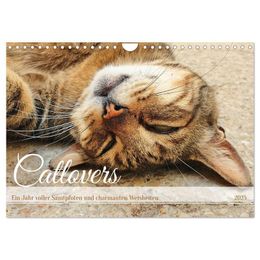 Catlovers - Ein Jahr voller Samtpfoten und charmanten Weisheiten (Wandkalender 2025 DIN A4 quer), Calvendo Monatskalender