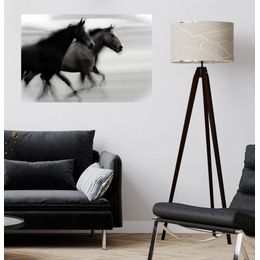 queence Wandsticker Horses (1 St), Selbstklebend, kinderleichte Anbringung, grau|schwarz