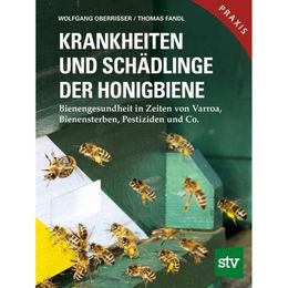 Krankheiten und Schädlinge der Honigbiene - Wolfgang Oberrisser, Thomas Fandl, Gebunden