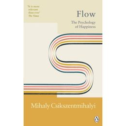 Rider Flow - Mihaly Csikszentmihalyi, Kartoniert (TB)