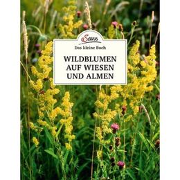 Das kleine Buch: Wildblumen auf Wiesen und Almen - Miriam Wiegele, Gebunden