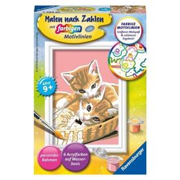 RAVENSBURGER VERLAG Ravensburger Malen nach Zahlen 29686 - Katzenbabys - Kinder ab 9 Jahren