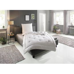 Naturfaserbettdecke F.A.N. Schlafkomfort "Baumwolle" Bettdecken Gr. B/L: 155 cm x 220 cm, normal, weiß Baumwollbettdecken