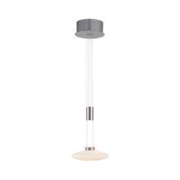 Pendelleuchte Paul Neuhaus "LAUTADA" Lampen Gr. 1 flammig, Ø 23 cm, grau (stahlfarben) LED Hängeleuchten und Pendelleuchten