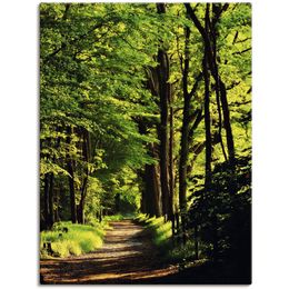 Wandbild Artland "Weg im Wald" Bilder Gr. B/H: 90 cm x 120 cm, Leinwandbild Wald, 1 St., grün Kunstdrucke