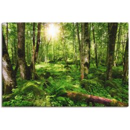 Wandbild Artland "Wald" Bilder Gr. B/H: 120 cm x 80 cm, Leinwandbild Wald, 1 St., grün Kunstdrucke