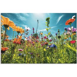 Wandbild Artland "Buntes Blumenfeld" Bilder Gr. B/H: 90 cm x 60 cm, Alu-Dibond-Druck Blumenwiese Querformat, 1 St., bunt Kunstdrucke