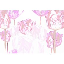 ARCHITECTS PAPER Fototapete "Atelier 47 Tulip Artwork 1" Tapeten Gr. B/L: 4 m x 2,7 m, rosa (rosa, weiß, creme) Fototapeten Blumen