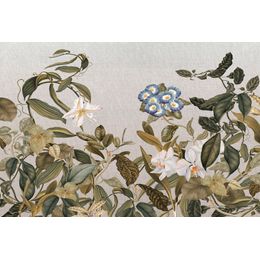 ARCHITECTS PAPER Fototapete "Atelier 47 Botanic Sketch 1" Tapeten Gr. B/L: 4 m x 2,7 m, bunt (blau, grün, weiß, grau) Fototapeten Blumen