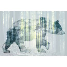 ARCHITECTS PAPER Fototapete "Atelier 47 Bear Forest 1" Tapeten Gr. B/L: 4 m x 2,7 m, grün (hellgrün, dunkelgrün, weiß) Fototapeten