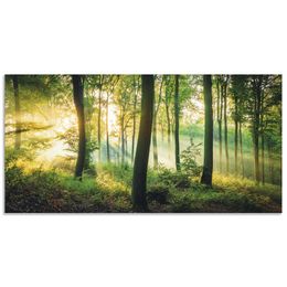 Wandbild Artland "Herbst im Wald II" Bilder Gr. B/H: 150 cm x 75 cm, Alu-Dibond-Druck Waldbilder Querformat, 1 St., grün Kunstdrucke