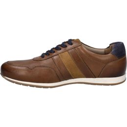 Seibel Sneaker "Colby 02", Leder, Komfortweite, für Herren, braun, 40