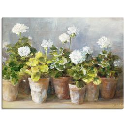 Wandbild Artland "Weiße Geranien" Bilder Gr. B/H: 120 cm x 90 cm, Leinwandbild Blumen Querformat, 1 St., weiß Kunstdrucke