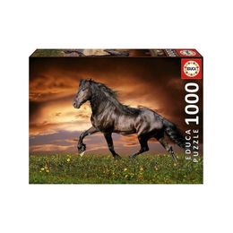 Educa 1000 Trotting Horse