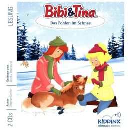Bibi & Tina - Das Fohlen im Schnee,2 Audio-CDs - Bibi & Tina, Bibi und Tina (Hörbuch)