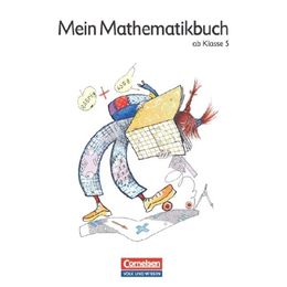 Mein Mathematikbuch - Ab Mittelstufe - 5./6. Schuljahr - Birgit Schlabitz, Astrid Reichelt, Christina Zühlke, Kartoniert (TB)