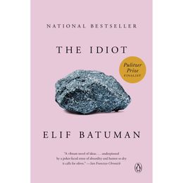 The Idiot - Elif Batuman, Kartoniert (TB)