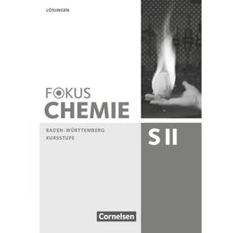 Cornelsen Fokus Chemie - Sekundarstufe II - Baden-Württemberg - Kursstufe - Holger Fleischer, Thorsten Kreß, Chaya Christina Stützel, Thomas Epple, Riko Burgard, Kartoniert (TB)