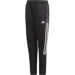 adidas Performance Sporthose TIRO21 TR PNT Y