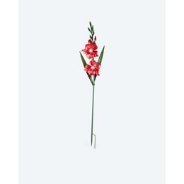 SOLITHIA Gartenstecker "Gladiole"