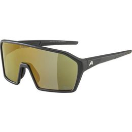 Alpina Ram Q-Lite Sportbrille black matt one size