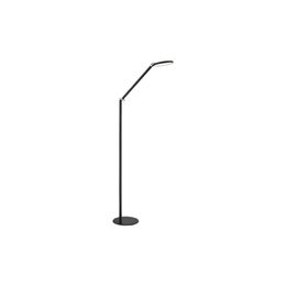 Fabas Luce LED-Standleuchte Regina, schwarz, 160 cm