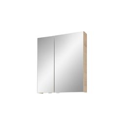 Pelipal Spiegelschrank A-Plan, Polarpinie-Nachbildung, 59 x 70 cm