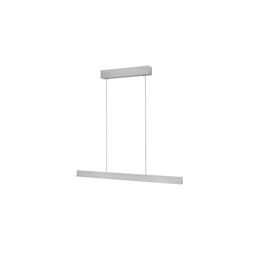 Paul Neuhaus LED-Pendelleuchte Pure E-Motion, aluminiumfarbig, 120 cm