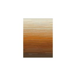 Biederlack Plaid/Decke Basic Soft, Ombre terra, 150 x 200 cm