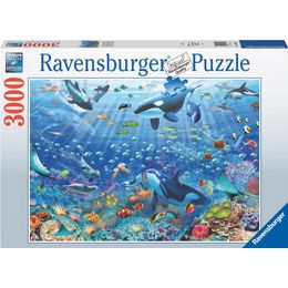Ravensburger Puzzle "Bunter Unterwasserspaß", 3000 Teile, MF