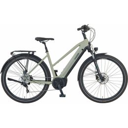 Prophete E-Bike Entdecker 4.0, 10 Gang microSHIFT RD-M61S Schaltwerk, Kettenschaltung, Mittelmotor, 540 Wh Akku, Pedelec, grau