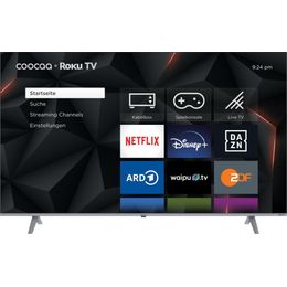 Coocaa 43R5G LCD-LED Fernseher (109