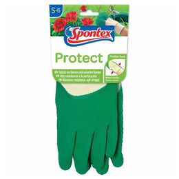 SPONTEX Arbeitshandschuh-Set Schutzhandschuh Protect Gr. 6 Gartenhandschuh