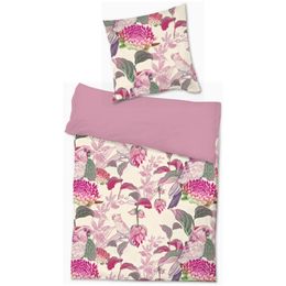 Mojawo 2tlg Wende Cashmere Touch Bettwäsche Jungle Flowers-M702401-Jungle Flowers-Rosa