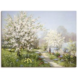 Wandbild Artland "Frühlingsblüten" Bilder Gr. B/H: 80 cm x 60 cm, Leinwandbild Wiesen & Bäume Querformat, 1 St., grün Kunstdrucke