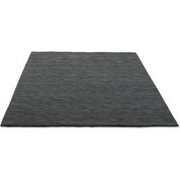 Wollteppich Theko "Holi" Teppiche Gr. B/L: 170 cm x 240 cm, 13 mm, 1 St., grau (dunkelgrau) Esszimmerteppiche