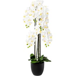 Kunstorchidee Creativ green "Phalaenopsis im Resintopf" Kunstpflanzen Gr. H: 119 cm, 1 St., weiß Kunst-Orchideen