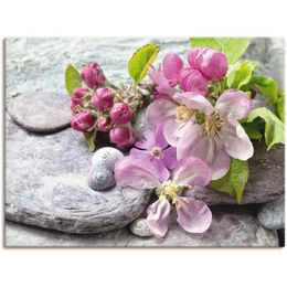 Wandbild Artland "Apfelblüten" Bilder Gr. B/H: 120 cm x 90 cm, Leinwandbild Blumen Querformat, 1 St., pink Kunstdrucke