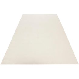 Teppich Esprit "Campus" Teppiche Gr. B/L: 120 cm x 170 cm, 17 mm, 1 St., beige (cremeweiß) Esszimmerteppiche