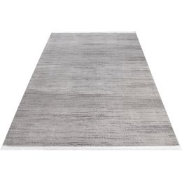 Teppich Home Affaire "Bricon" Teppiche Gr. B/L: 240 cm x 320 cm, 7 mm, 1 St., grau (hellgrau) Esszimmerteppiche