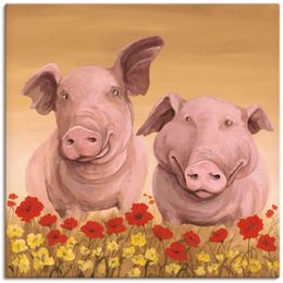 Leinwandbild Artland "Schweine" Bilder Gr. B/H: 100 cm x 100 cm, Haustiere, 1 St., beige (naturfarben) Leinwandbilder