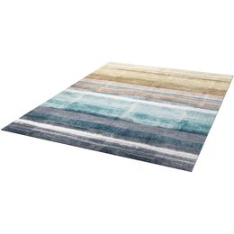 Teppich wash+dry by Kleen-Tex "Frerik" Teppiche Gr. B/L: 170 cm x 240 cm, 9 mm, 1 St., bunt Esszimmerteppiche