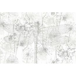 ARCHITECTS PAPER Fototapete "Atelier 47 Dragon Fly 2" Tapeten Gr. B/L: 4 m x 2,7 m, grau (hellgrau, weiß, dunkelgrau) Fototapeten Natur