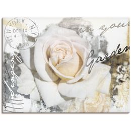 Wandbild Artland "In Buchstaben - Rose" Bilder Gr. B/H: 120 cm x 90 cm, Leinwandbild Blumen, 1 St., weiß Kunstdrucke