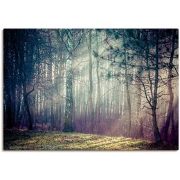 Wandbild Artland "Sonnenstrahlen im Wald" Bilder Gr. B/H: 130 cm x 90 cm, Leinwandbild Waldbilder Querformat, 1 St., blau Kunstdrucke