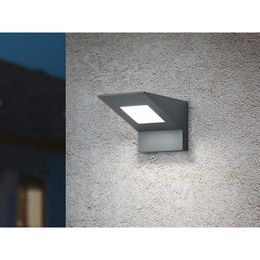 Trio Led Außenwandleuchte nelson Downlight aus Aluminium in Anthrazit